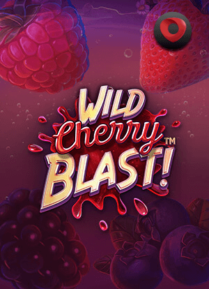 Play Online Casino Games for Real Money at SuperSlots.ag